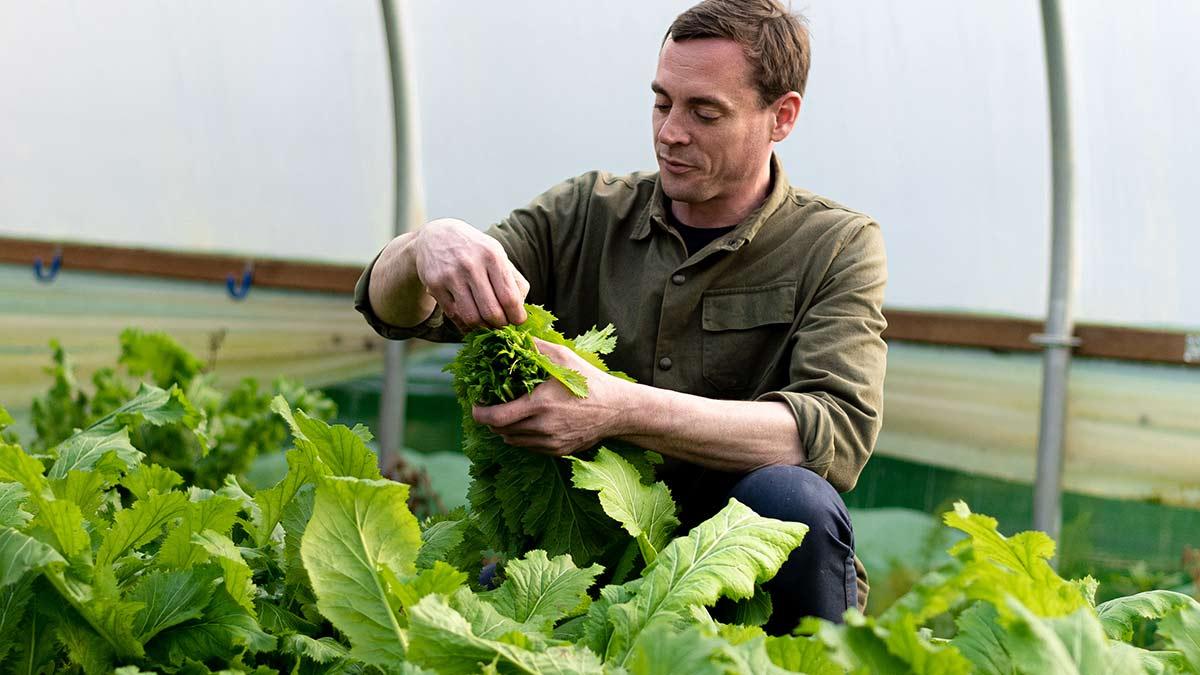 Crocadon Farm | National Restaurant Awards