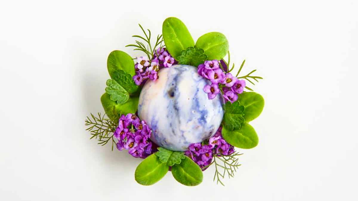 Solstice | National Restaurant Awards