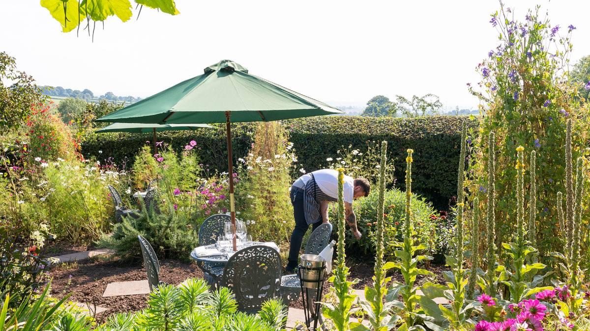 The Walnut Tree | National Restaurant Awards