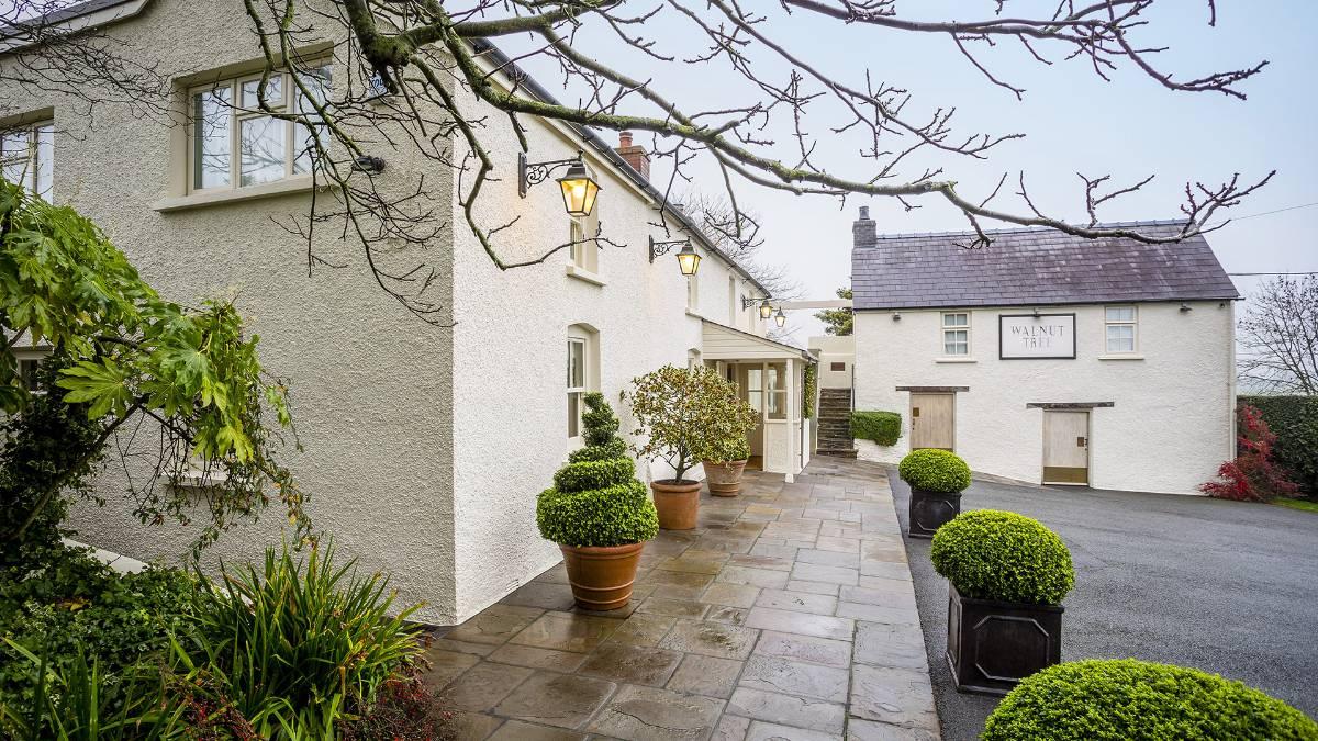 The Walnut Tree | National Restaurant Awards